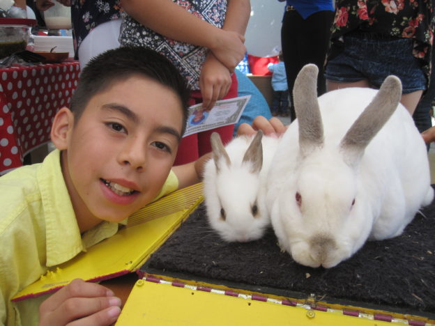 Magician's Live Bunny Rabbit - Jersey Jim Comedy Magician Blog